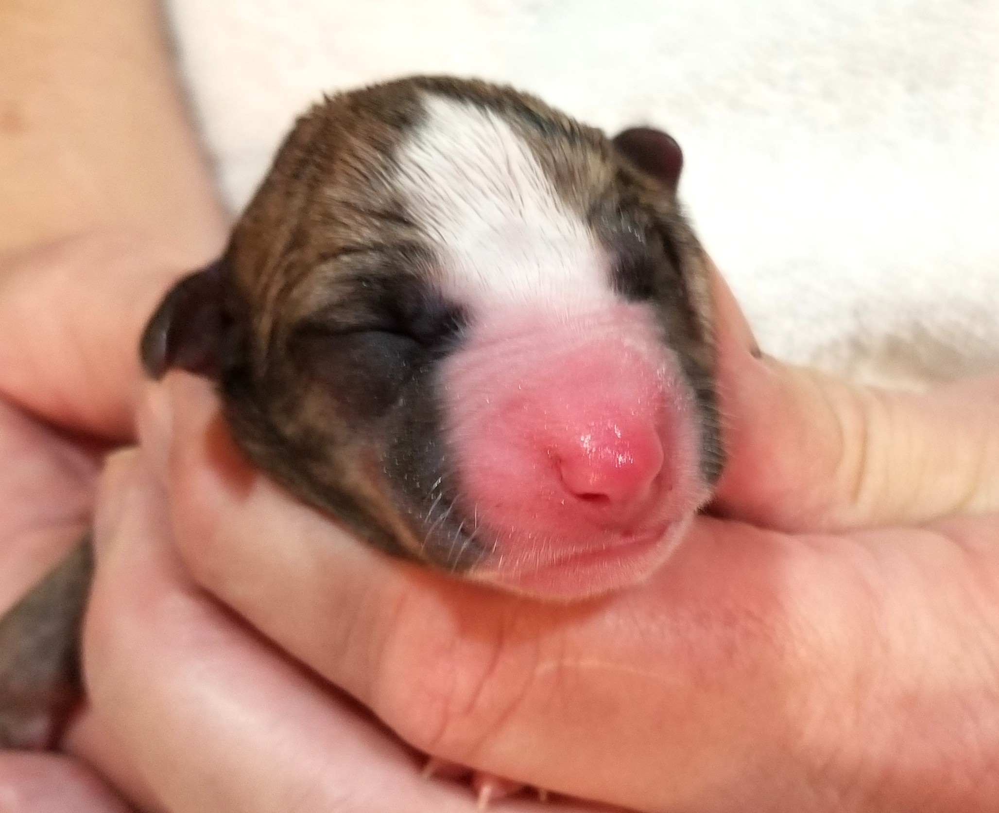 TGIF Face - NorthwindNorthwind